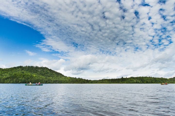 The Allagash Abductions: This State Park’s Most Famous Visitors … Are ...