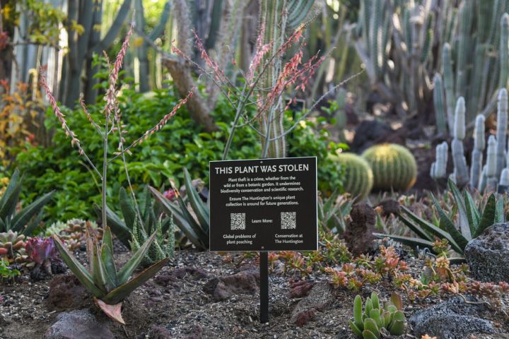 The Secret Gardens Saving the World’s Rarest Plants – Mountainside Orchard